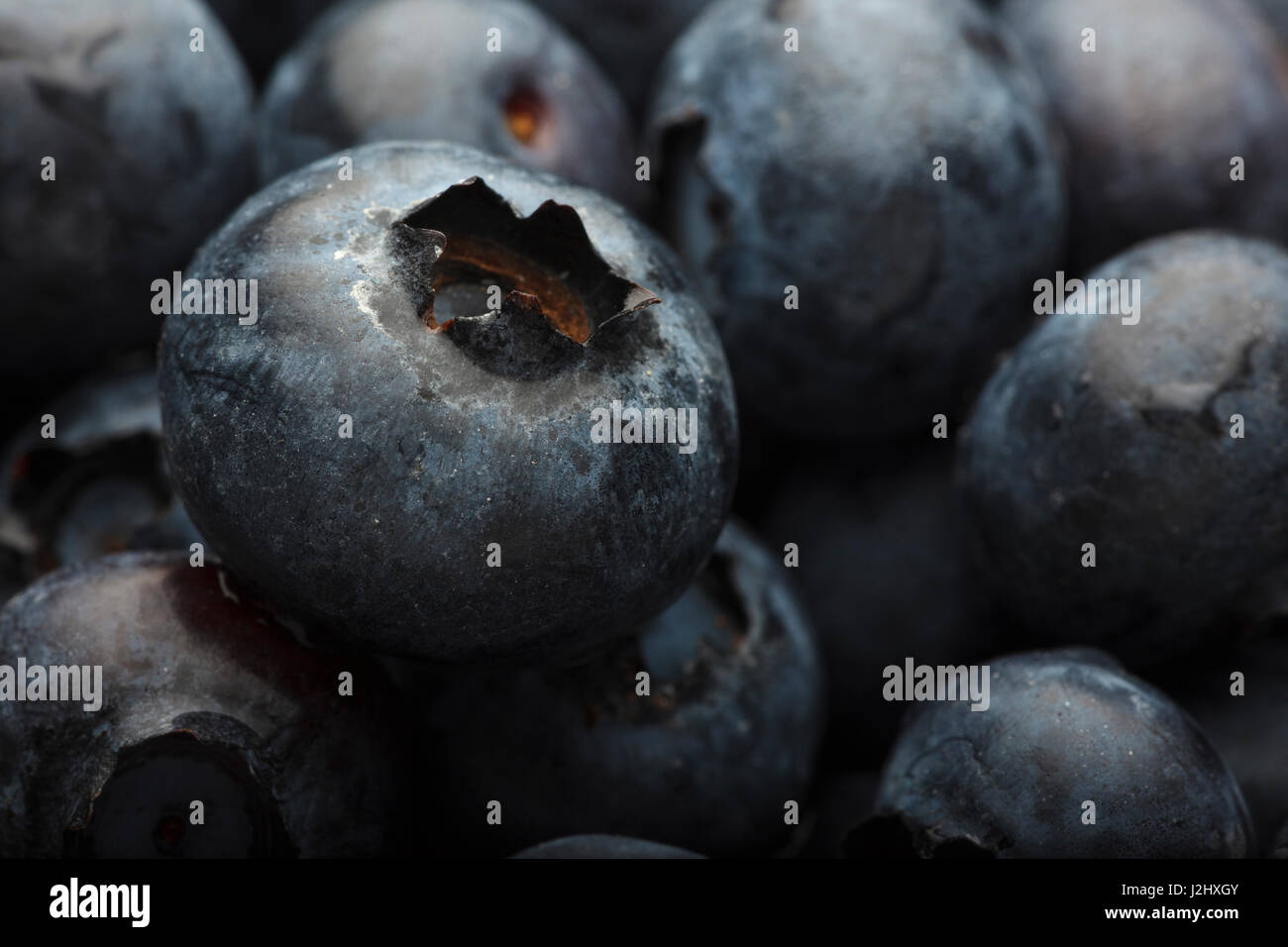 Oregon fruit blueberries hi-res stock photography and images - Alamy
