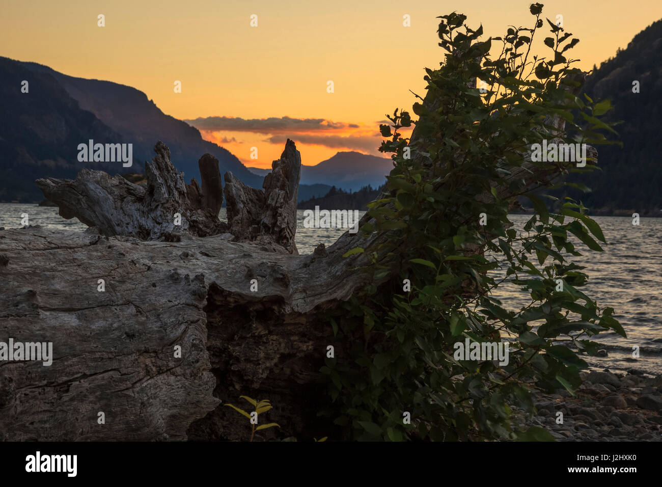 Viento state park hi-res stock photography and images - Alamy