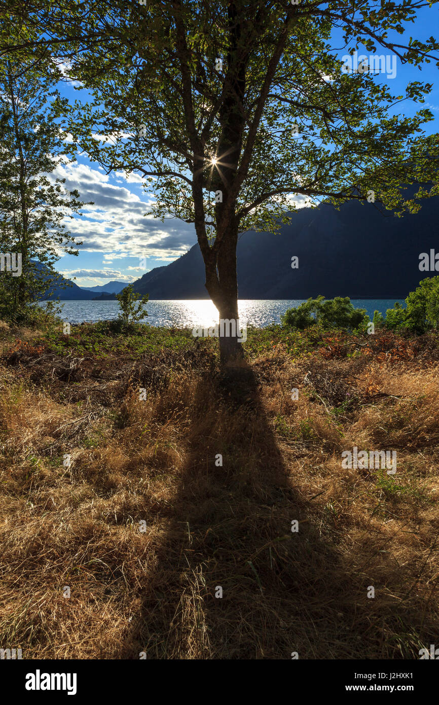 USA, Oregon, Columbia Gorge National Scenic Area, Viento State Park ...