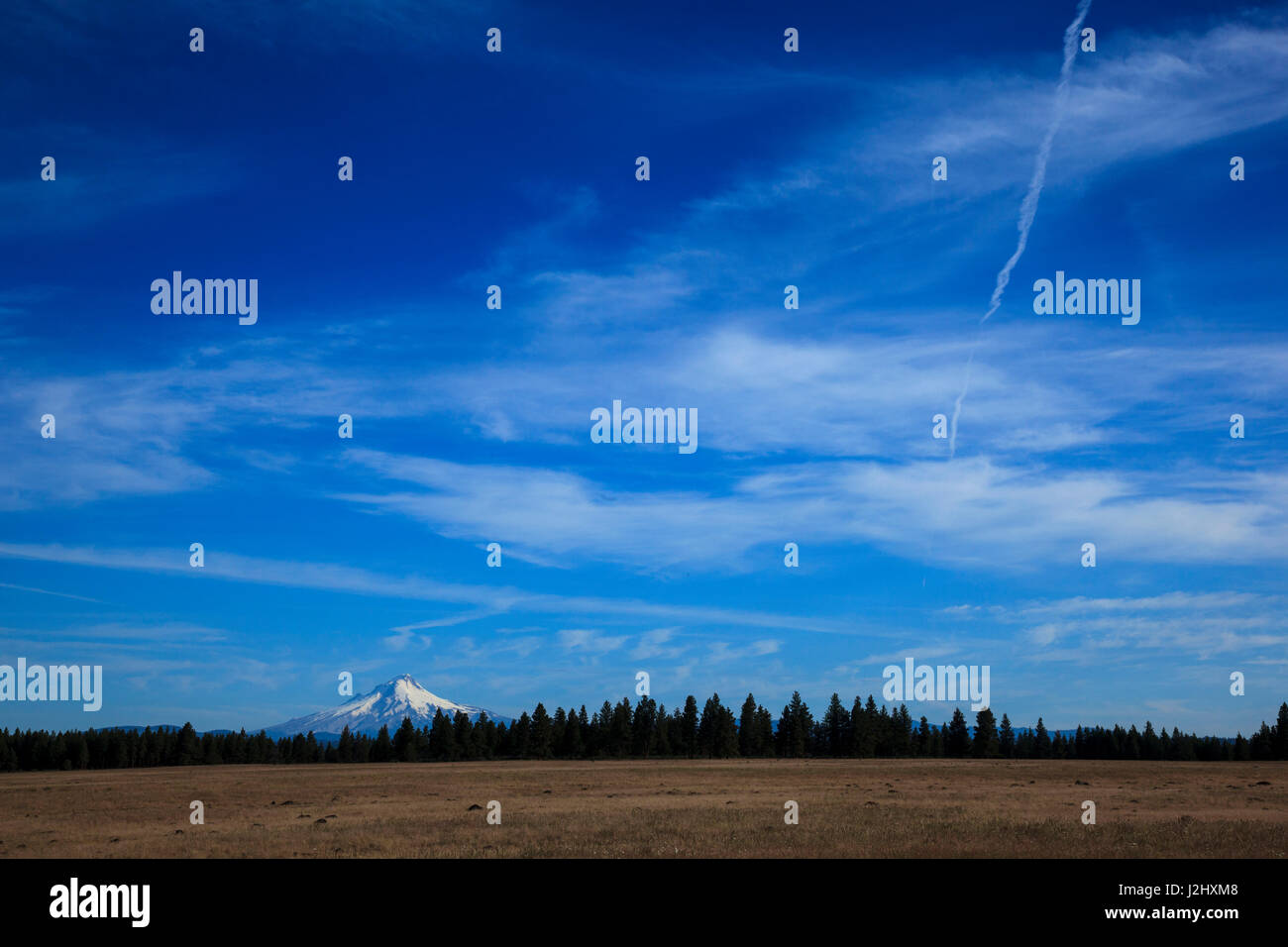 USA, Oregon, meadow along the Eastern slope of the Cascaded and Mt ...