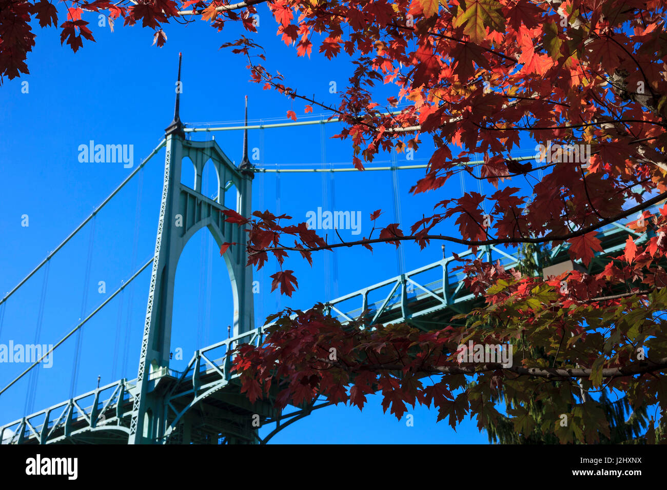 USA, Oregon, Portland, Cathedral Park, St. John's Bridge Stock Photo ...