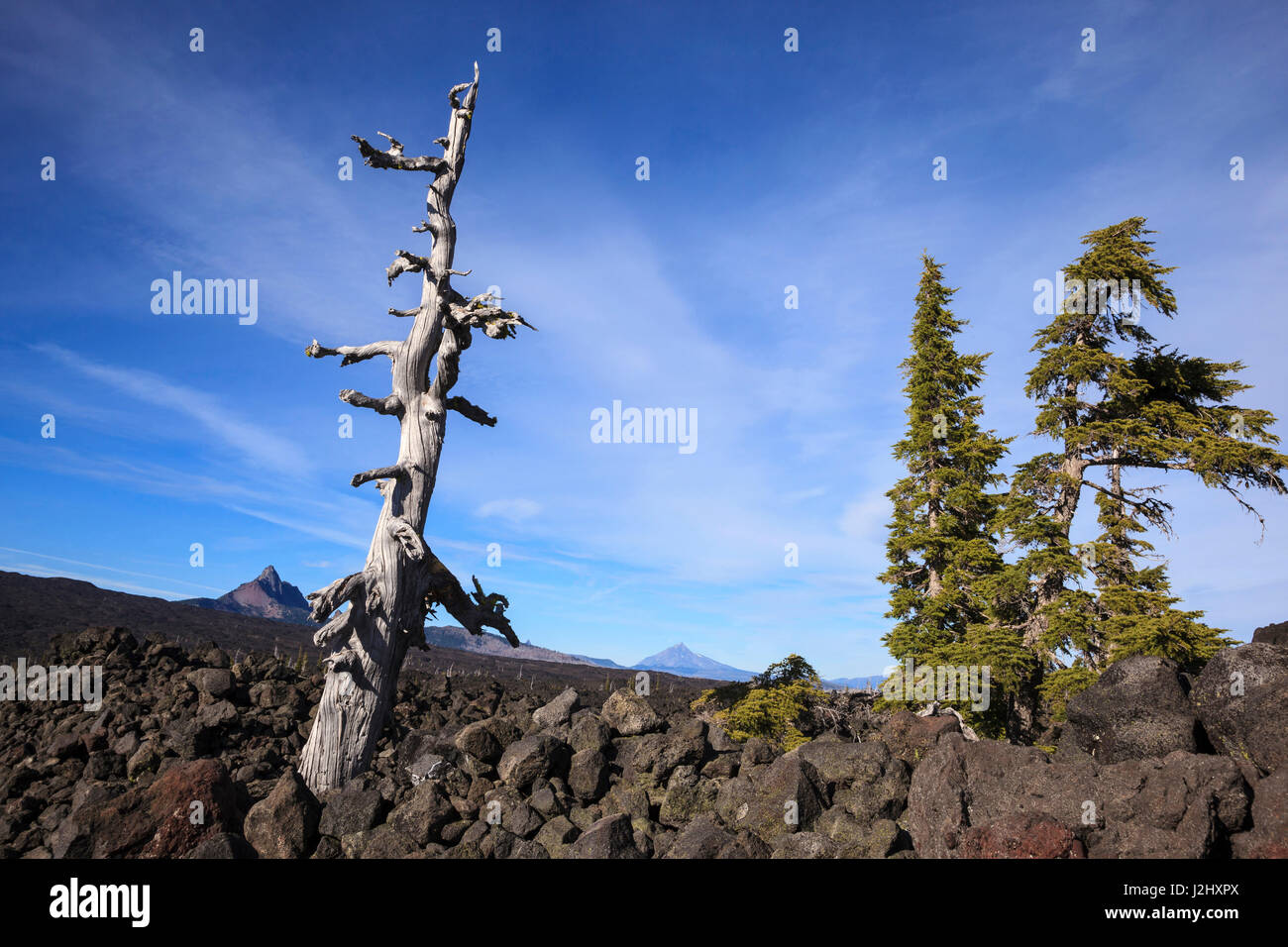USA, Oregon, Mt. McKenzie Pass Scenic Byway, State National Areag, lava ...