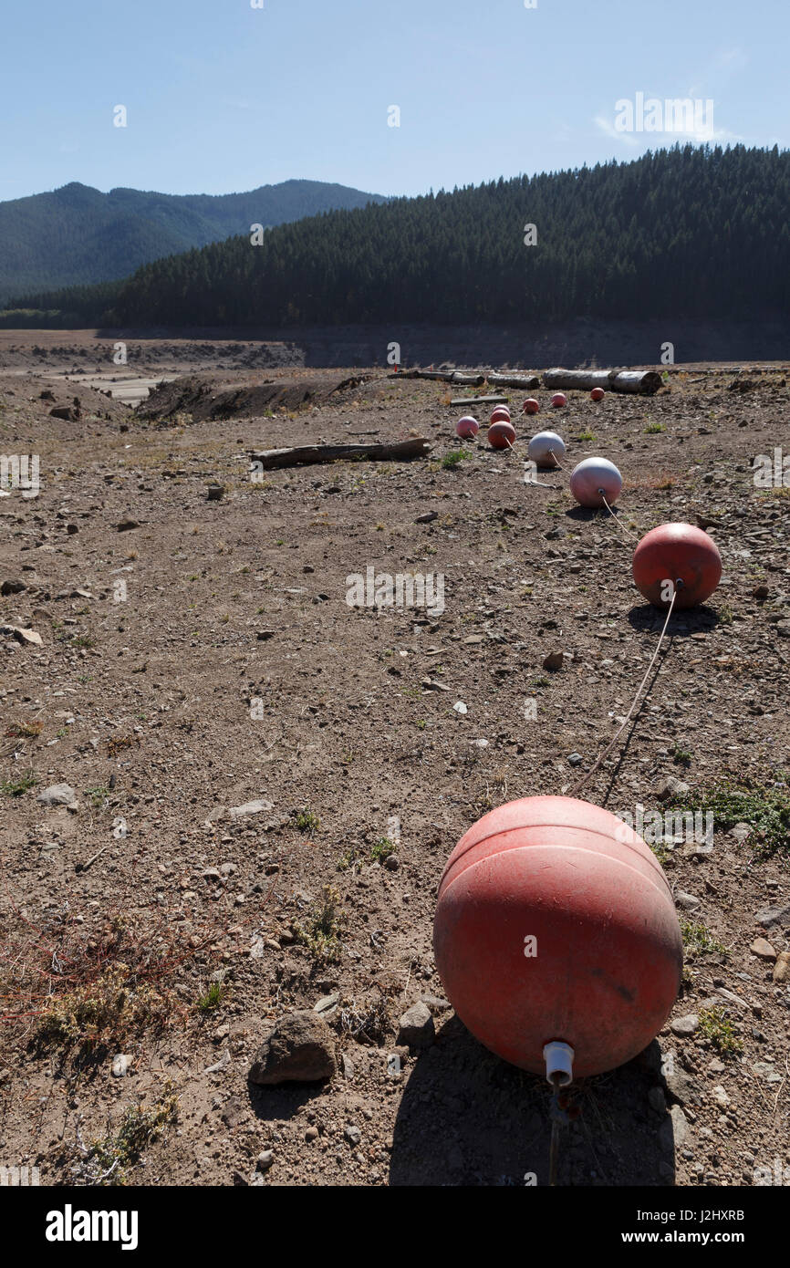USA, Oregon, Detroit Lake State Recreation Area, buoys marking area for ...