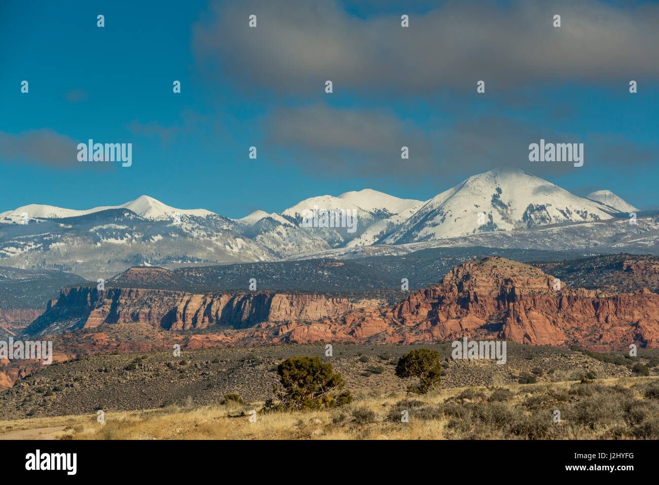 La Sal mountains outside of Moab, Utah (Large format sizes available ...