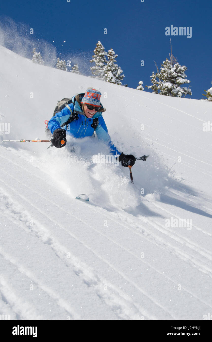 Skier enjoying deep powder, Wasatch Backcountry, Days Fork, Big ...