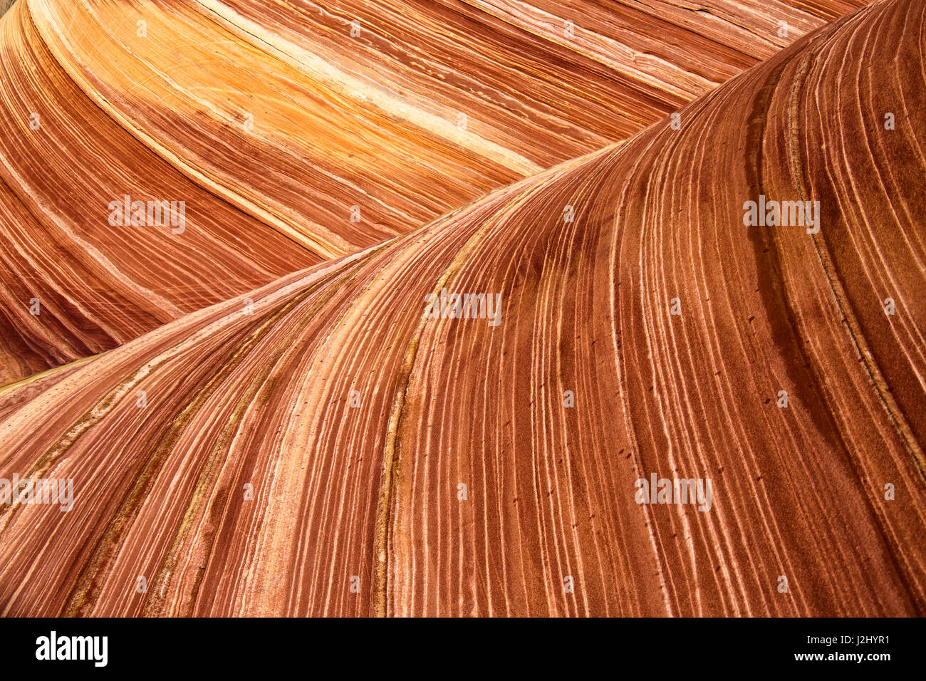 Zion wave formation hi-res stock photography and images - Alamy