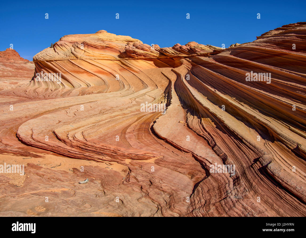 Second Wave, Zion National Park, Utah, USA Stock Photo - Alamy