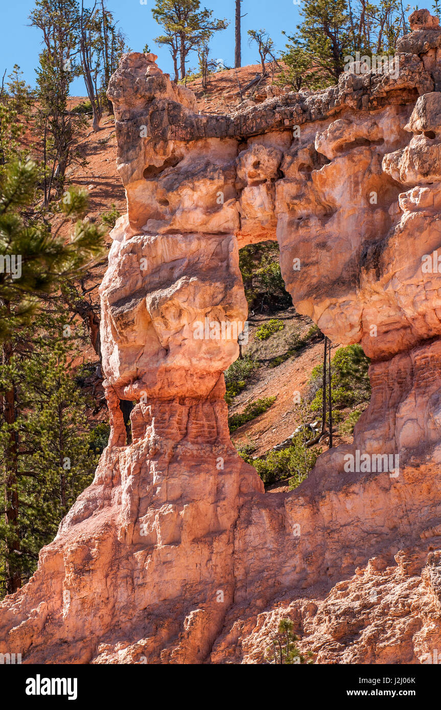 Tower Bridge rock formation, Bryce Canyon National Park, Utah, USA ...