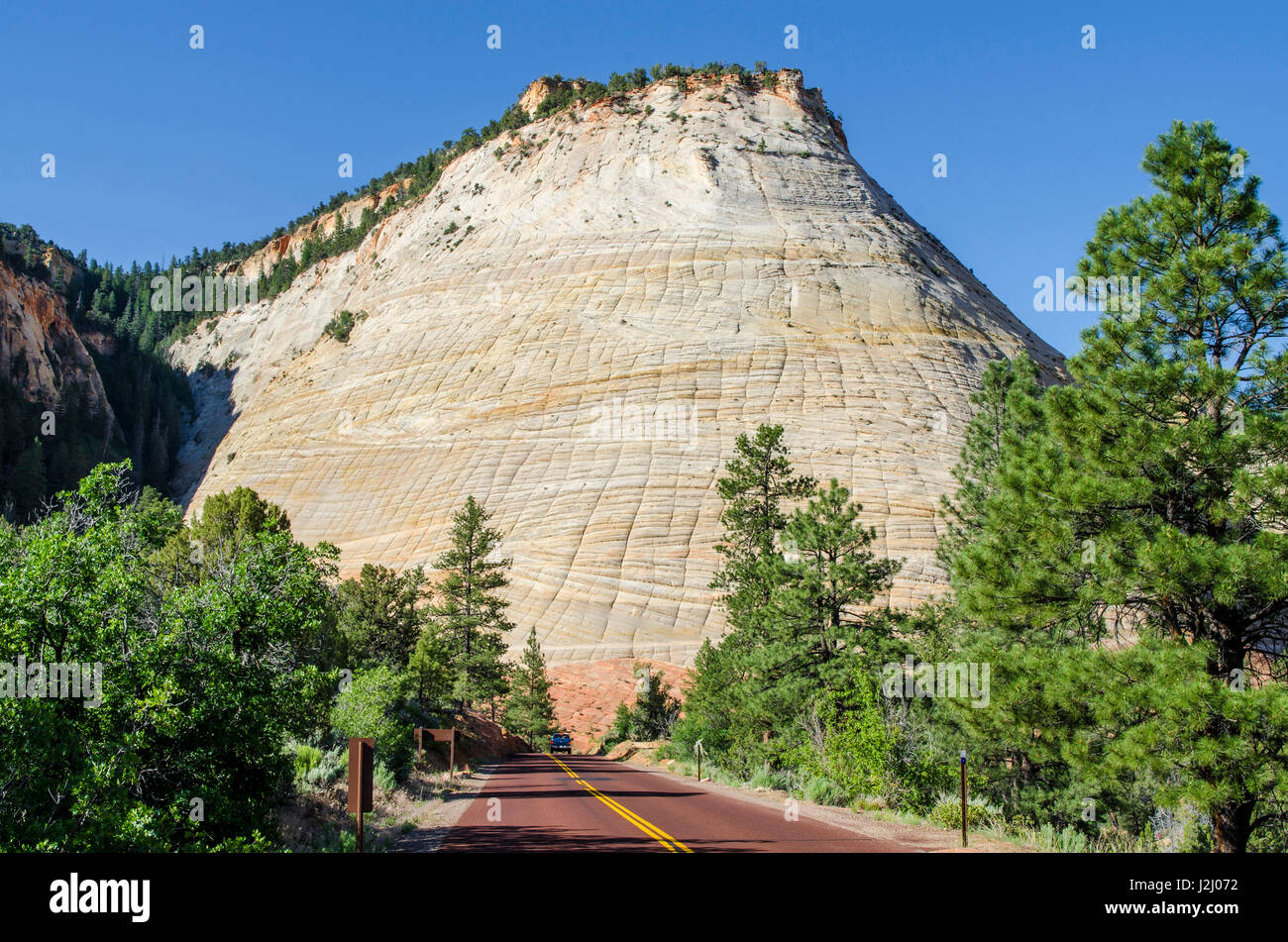 Checkerboard Mesa, Zion National Park, Utah, USA Stock Photo - Alamy