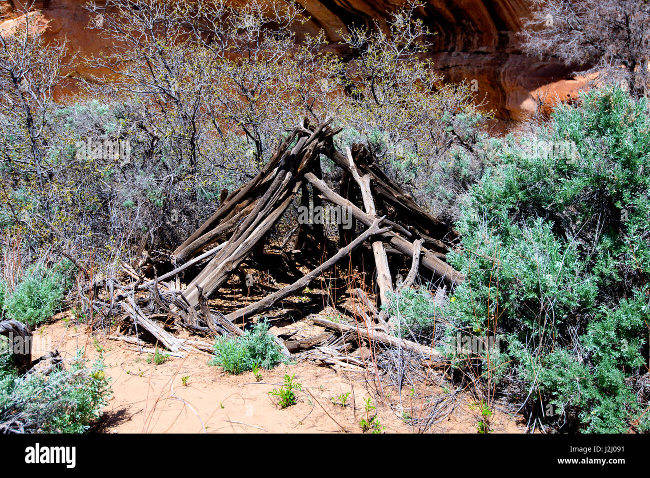 Double Stack Anasazi ruin in Butler Wash, Cedar Mesa, Utah. The ruins ...