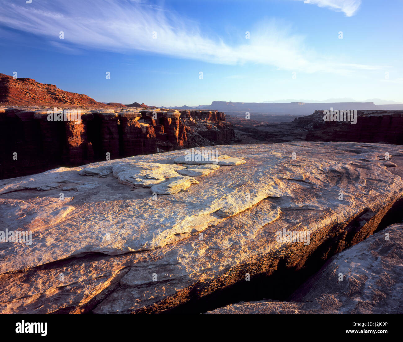 Canyonlands National Park, Utah. USA. White Rim Sandstone above ...