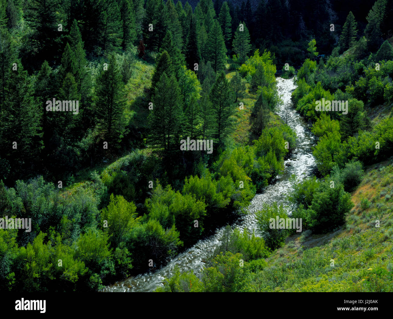 Bear cache hi-res stock photography and images - Alamy