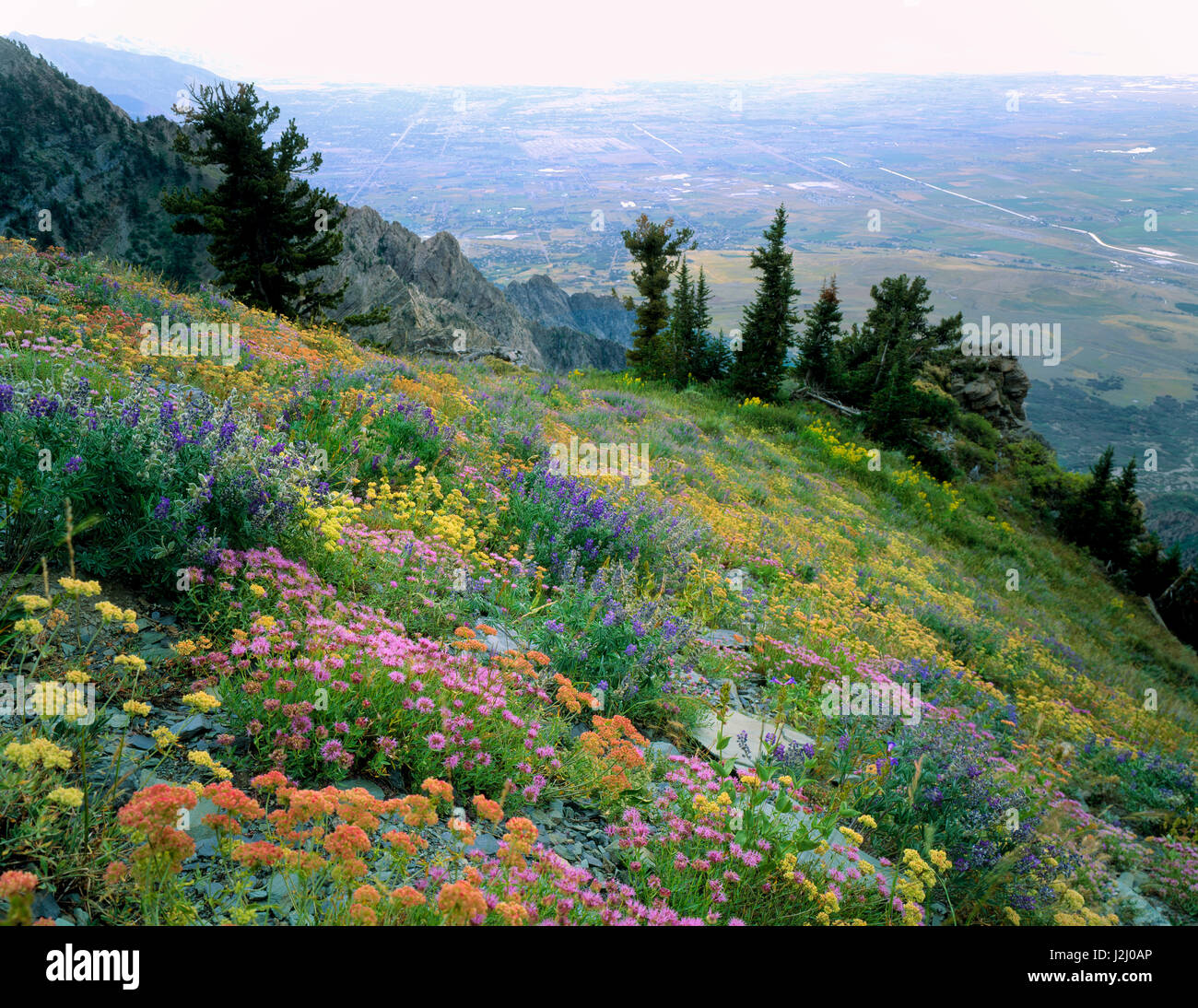 Willard utah hi-res stock photography and images - Alamy