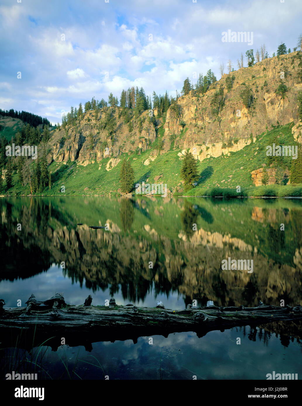 Tony green hi-res stock photography and images - Alamy