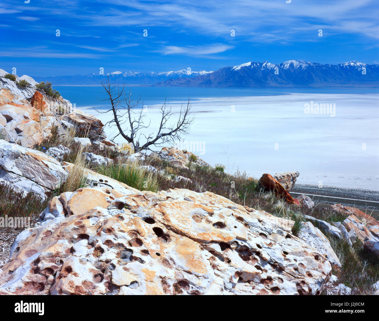 Utah. USA. Eroded quartzite outcrop and juniper snag on Stansbury ...