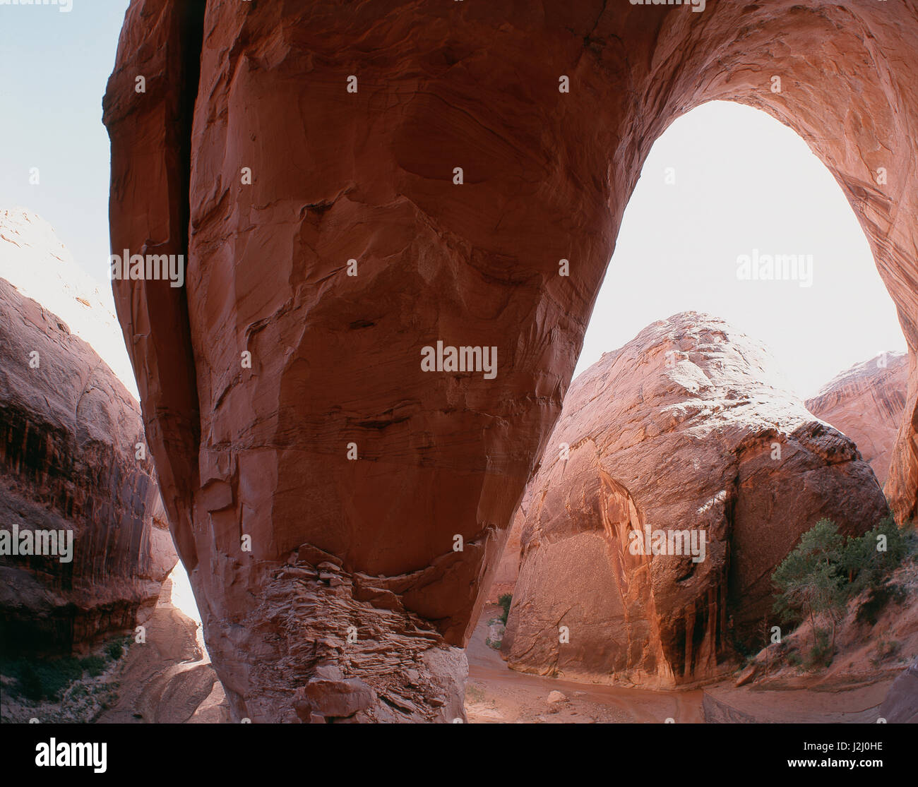 USA, Utah, Escalante, Jacob Hamblin Arch in Coyote Gulch (Large format ...