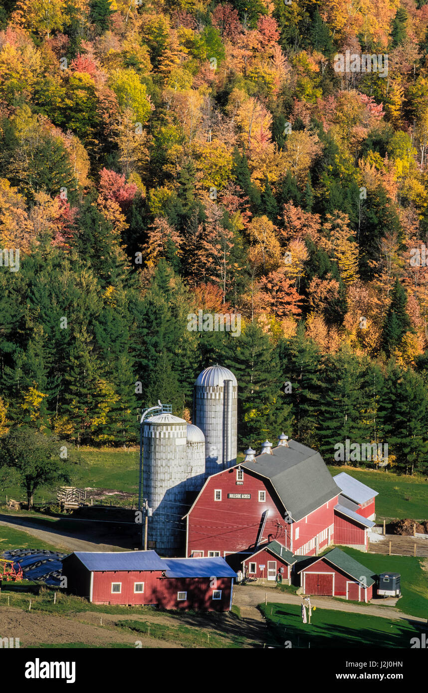 United States, Vermont, Woodstock, red barn in farm with fall foliage ...