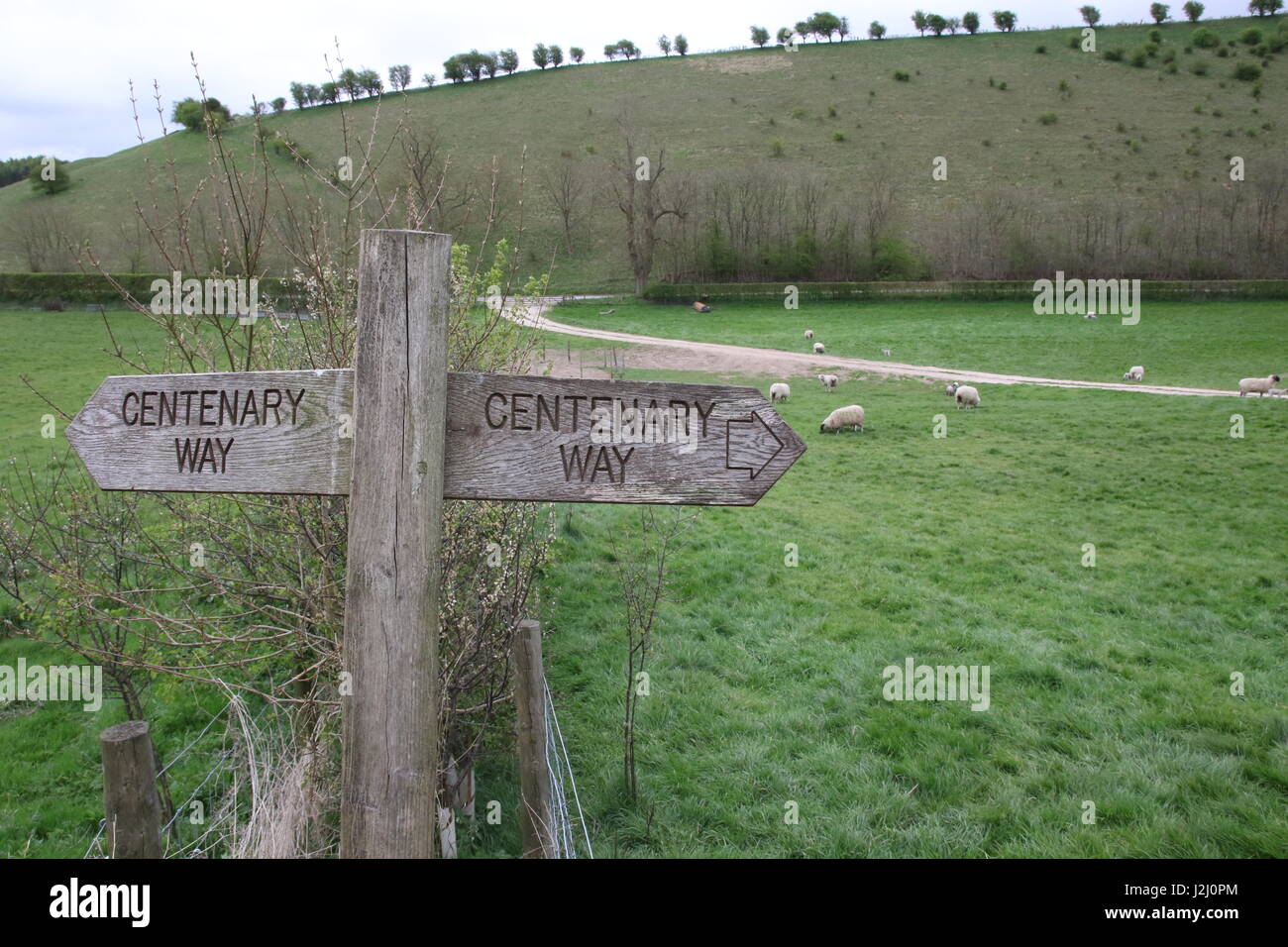 Signposts for Centenary Way walk in the Yorkshire Wolds near Thixendale ...