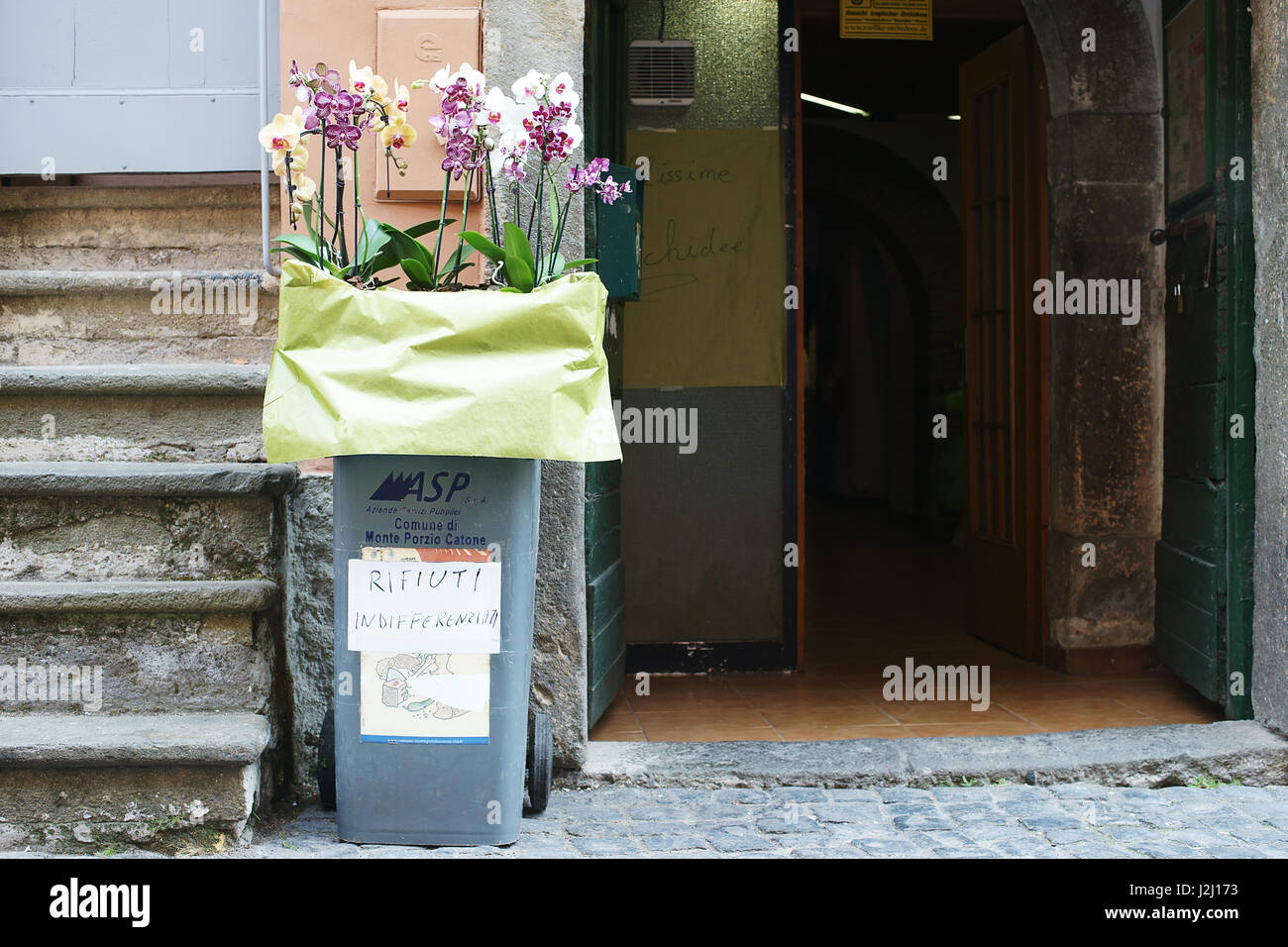 Orchid flower on garbage bin Stock Photo - Alamy