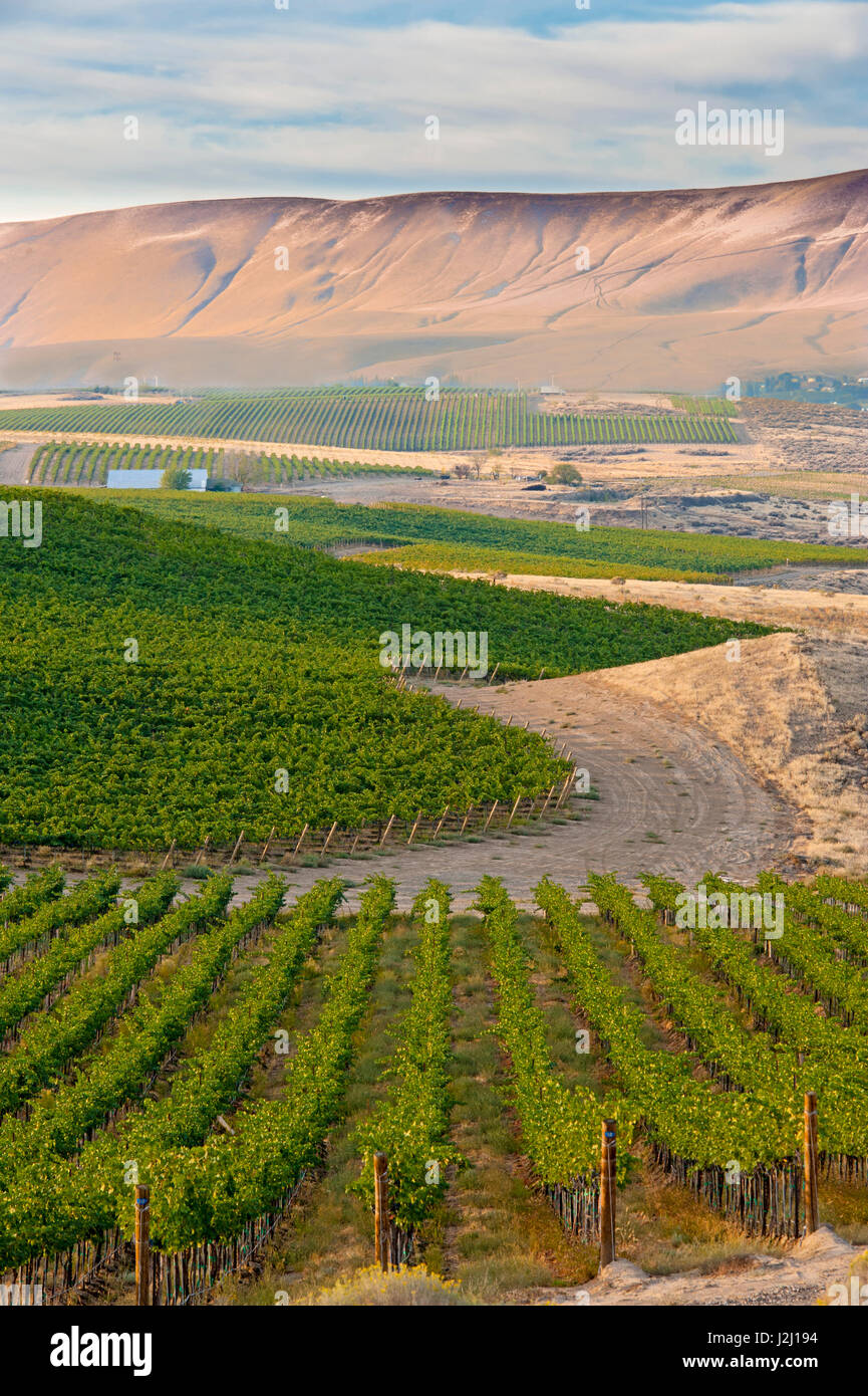 Red mountain shaw hi-res stock photography and images - Alamy