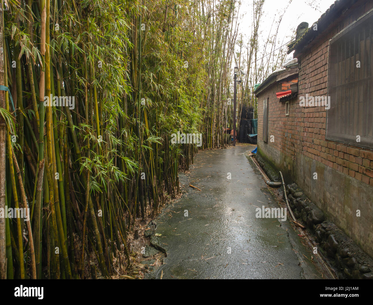 Yilan, Taiwan - October 14, 2016: A fence of bamboo sticks around a ...