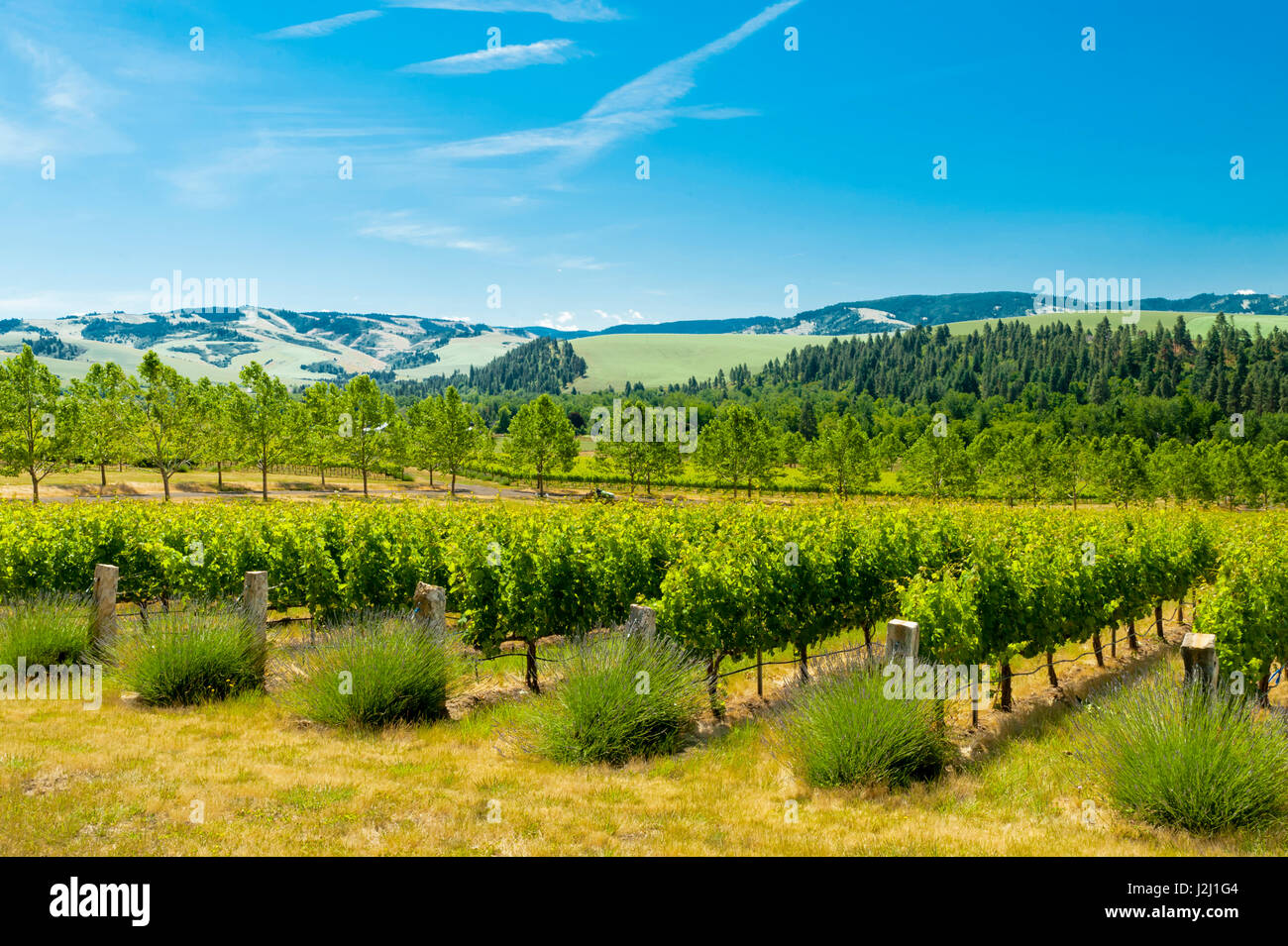 Figgins estate hi-res stock photography and images - Alamy