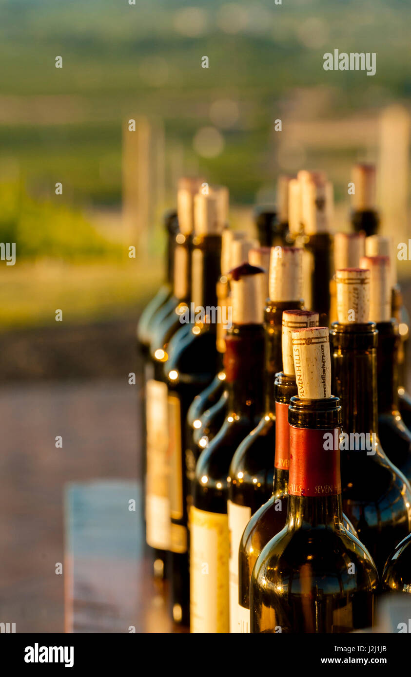 Usa, Washington State, Walla Walla. Syrah wine bottles ready for ...