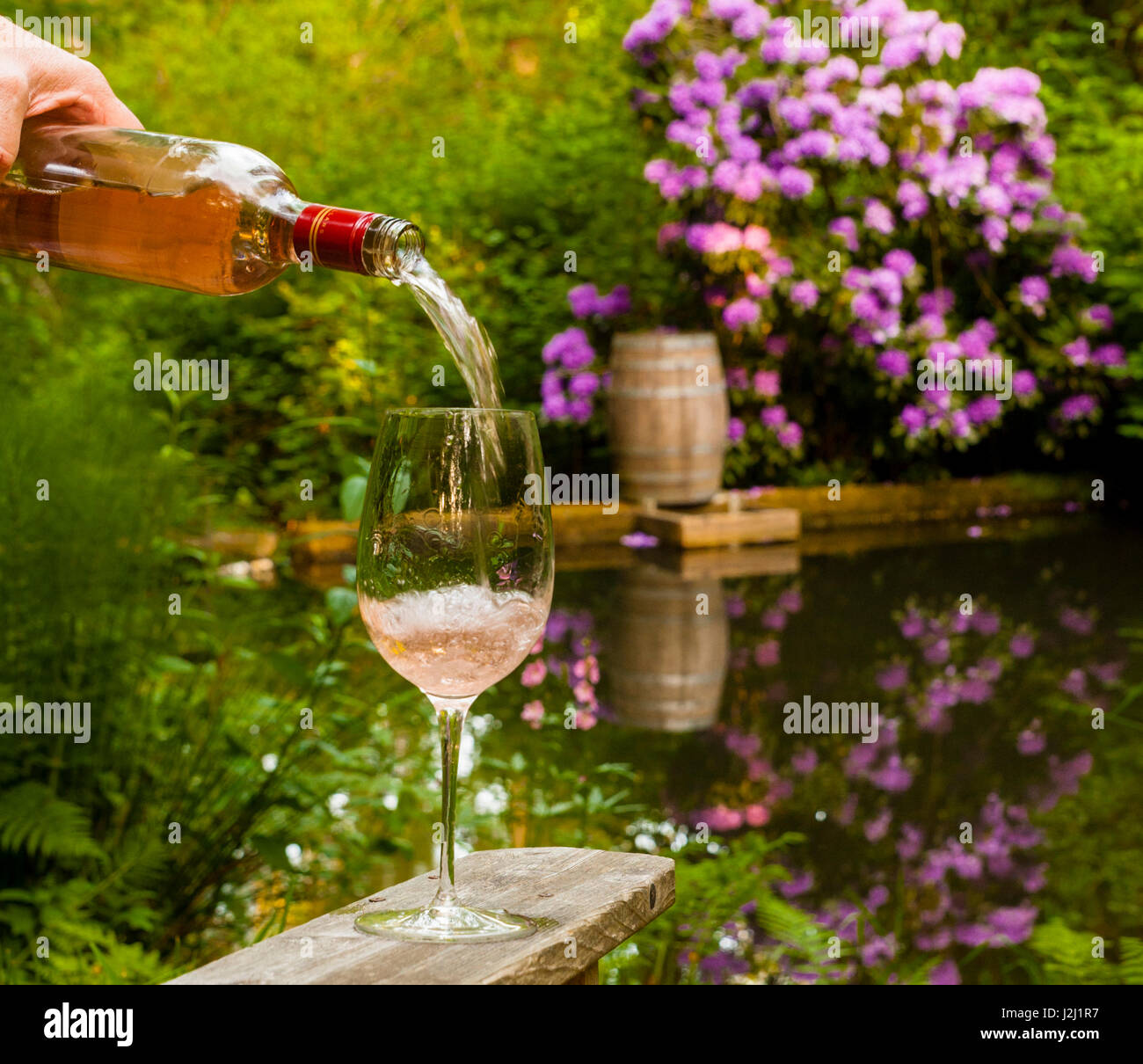 Usa, Washington State, Woodinville. Man pours wine for an outdoor ...