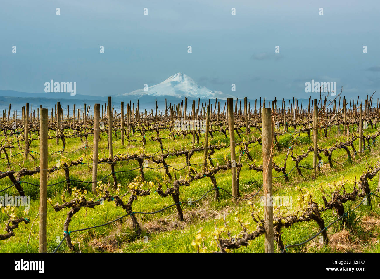 Cascade cliffs winery hi-res stock photography and images - Alamy