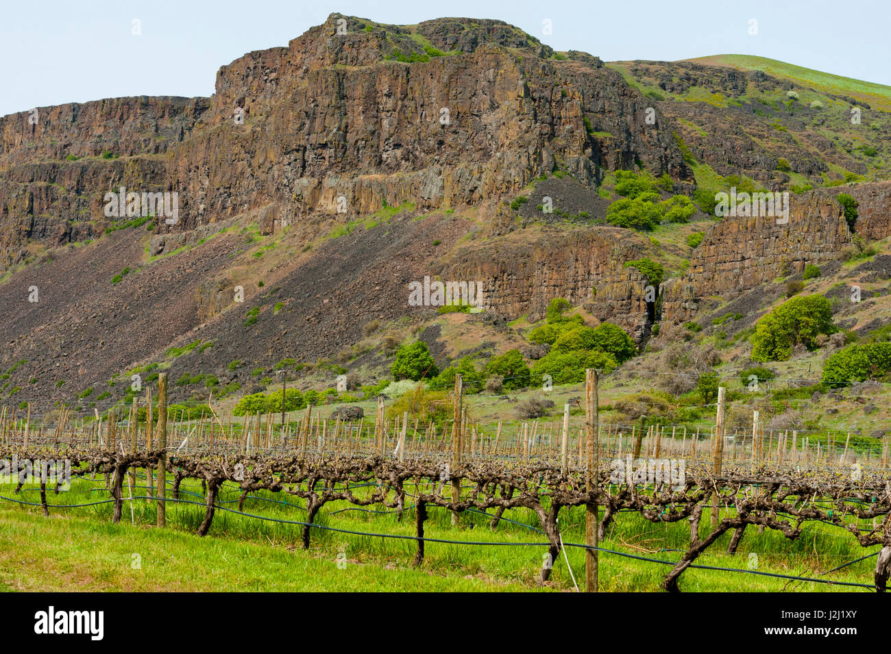 Cascade cliffs winery hi-res stock photography and images - Alamy
