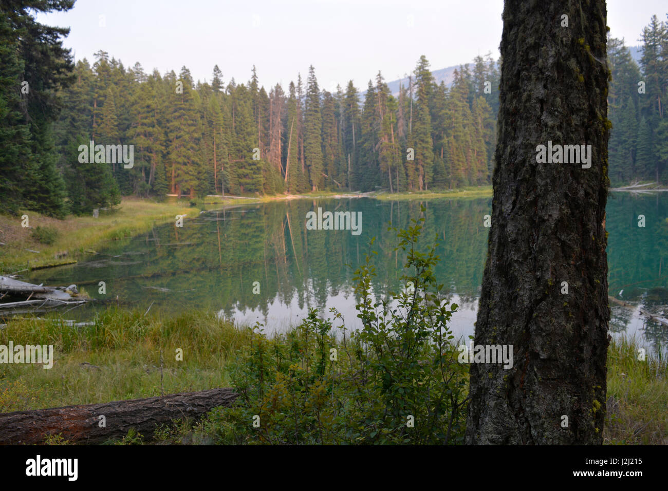 USA, Washington State, Wenatchee National Forest, Milk Pond Stock Photo ...