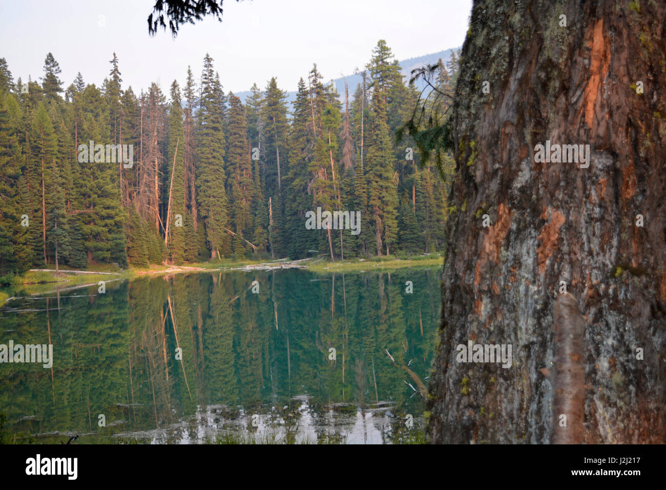 USA, Washington State, Wenatchee National Forest, Milk Pond Stock Photo ...