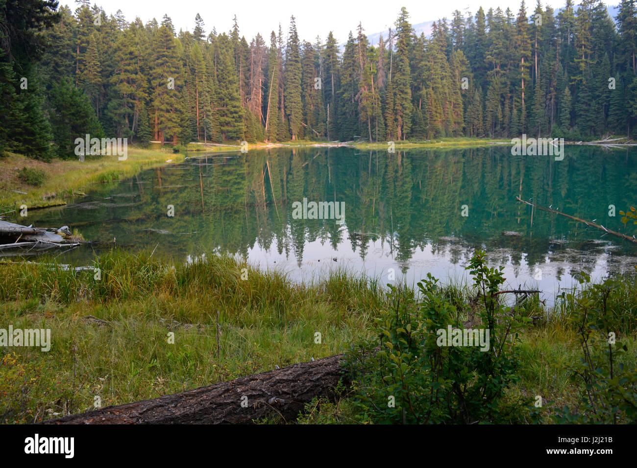USA, Washington State, Wenatchee National Forest, Milk Pond Stock Photo ...