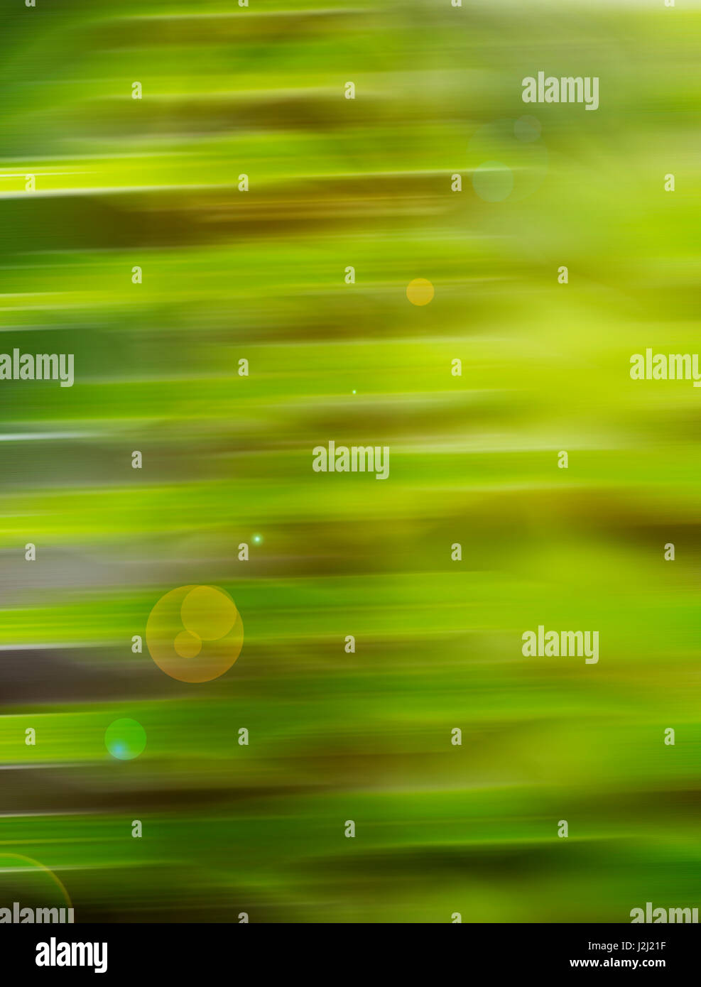 Stewart fern hi-res stock photography and images - Alamy