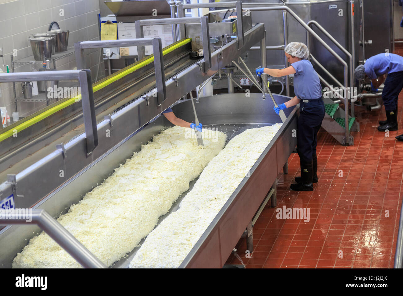 Washington State University Creamery (producer of World Famous Cougar ...