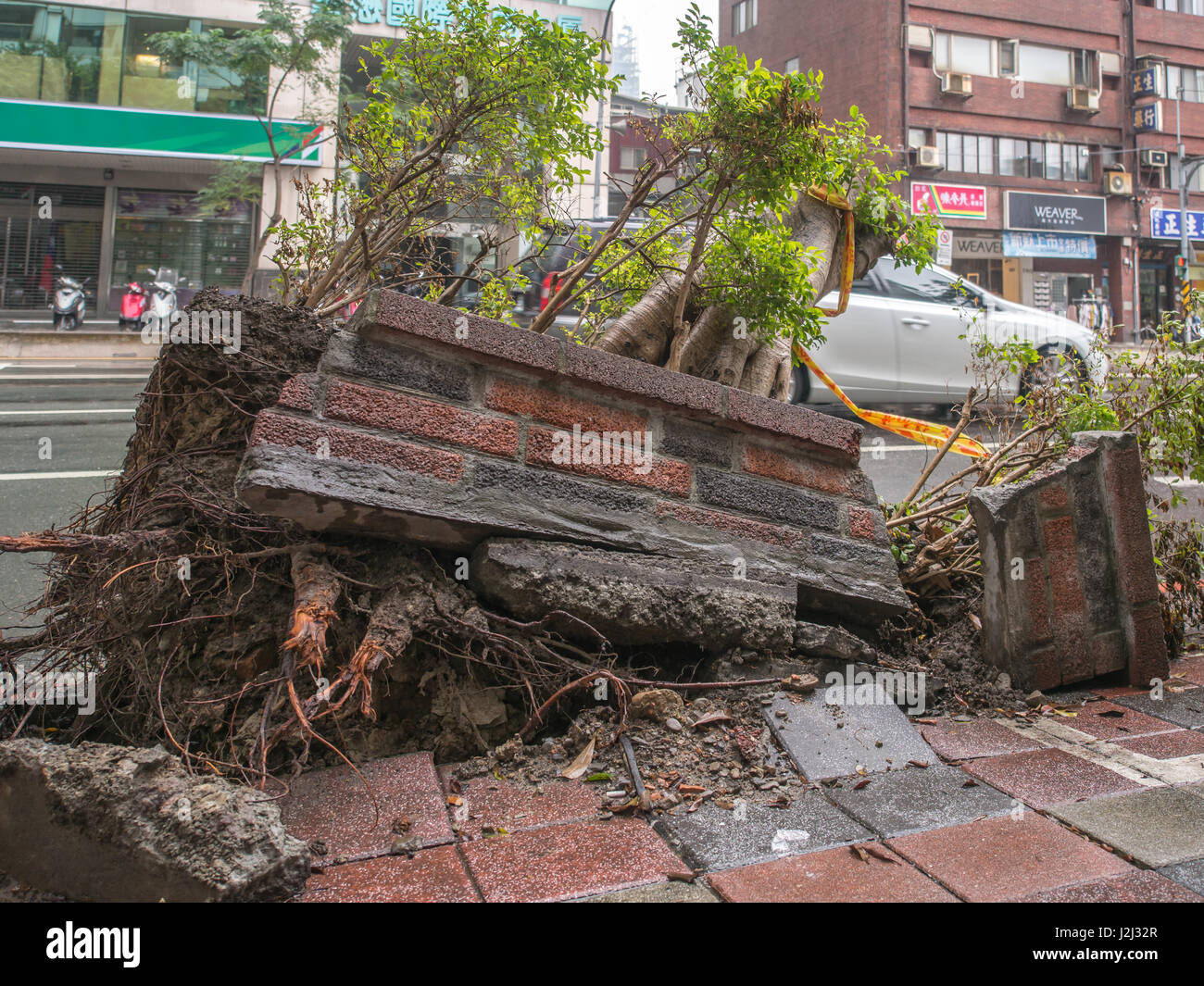 Taipei, Taiwan - October 08, 2016: Fallen building wall and uprooted ...