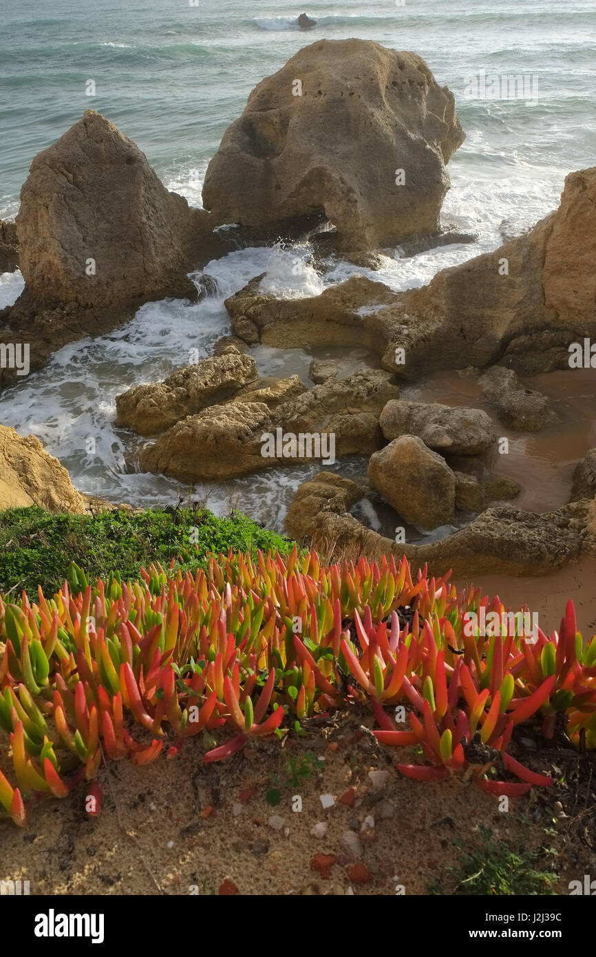 Chiringuitos beach (Gale beach) scenery in Albufeira. Algarve, Portugal ...