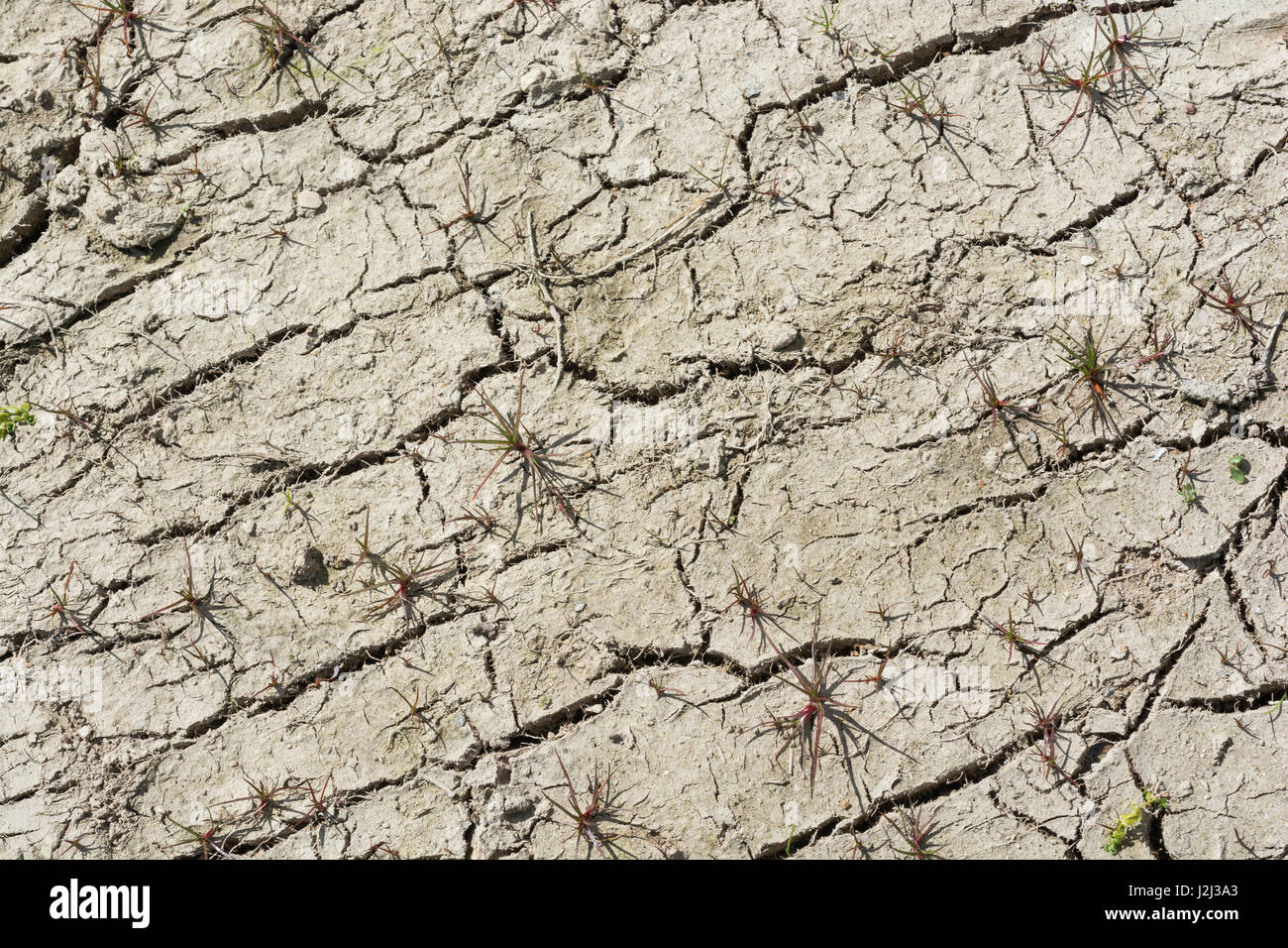 Earth without water and plants hi-res stock photography and images - Alamy
