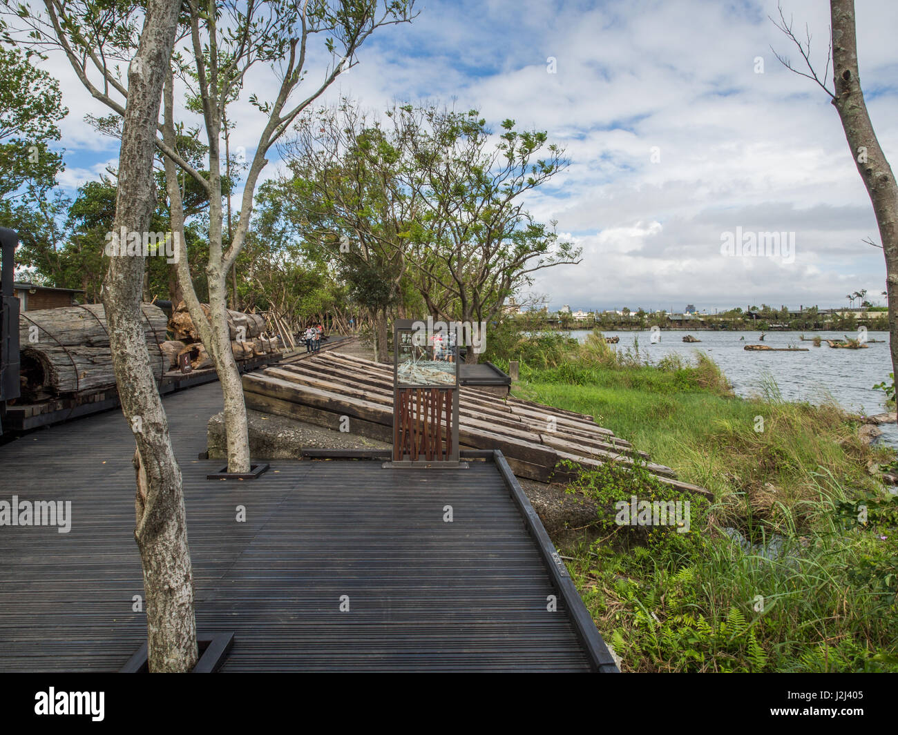 Luodong, Taiwan - October 18, 2016: Camphor tree trunks soaking in ...