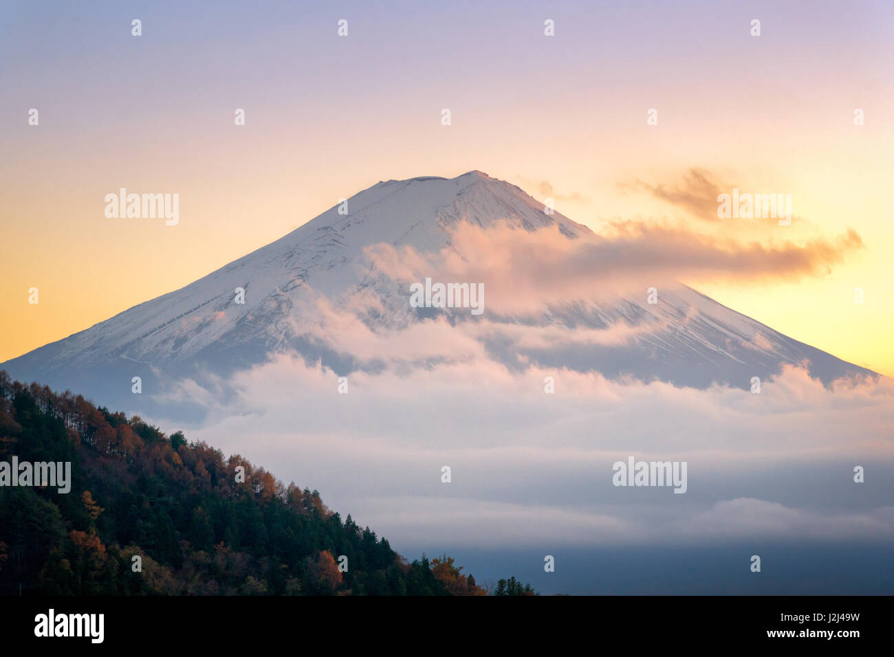 Beautiful natural landscape view of Mount Fuji at Kawaguchiko during ...