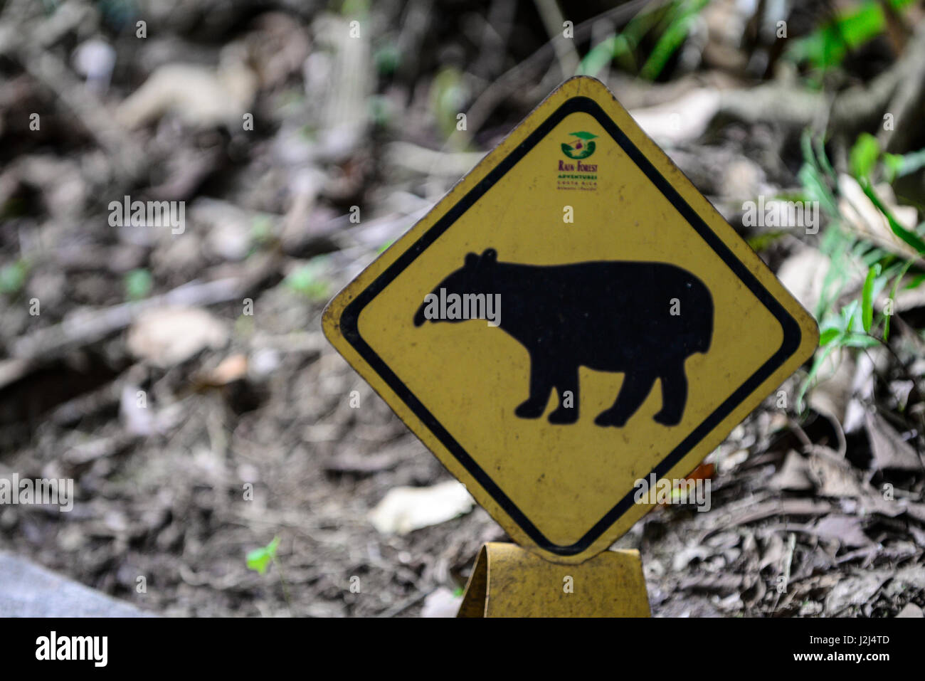 A Tapir crossing sign sits near the road at a private reserve outside ...