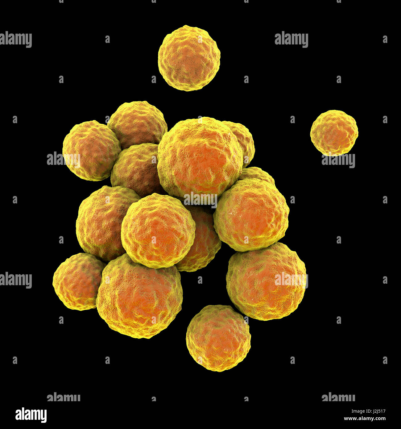 Mrsa bacteria hi-res stock photography and images - Alamy