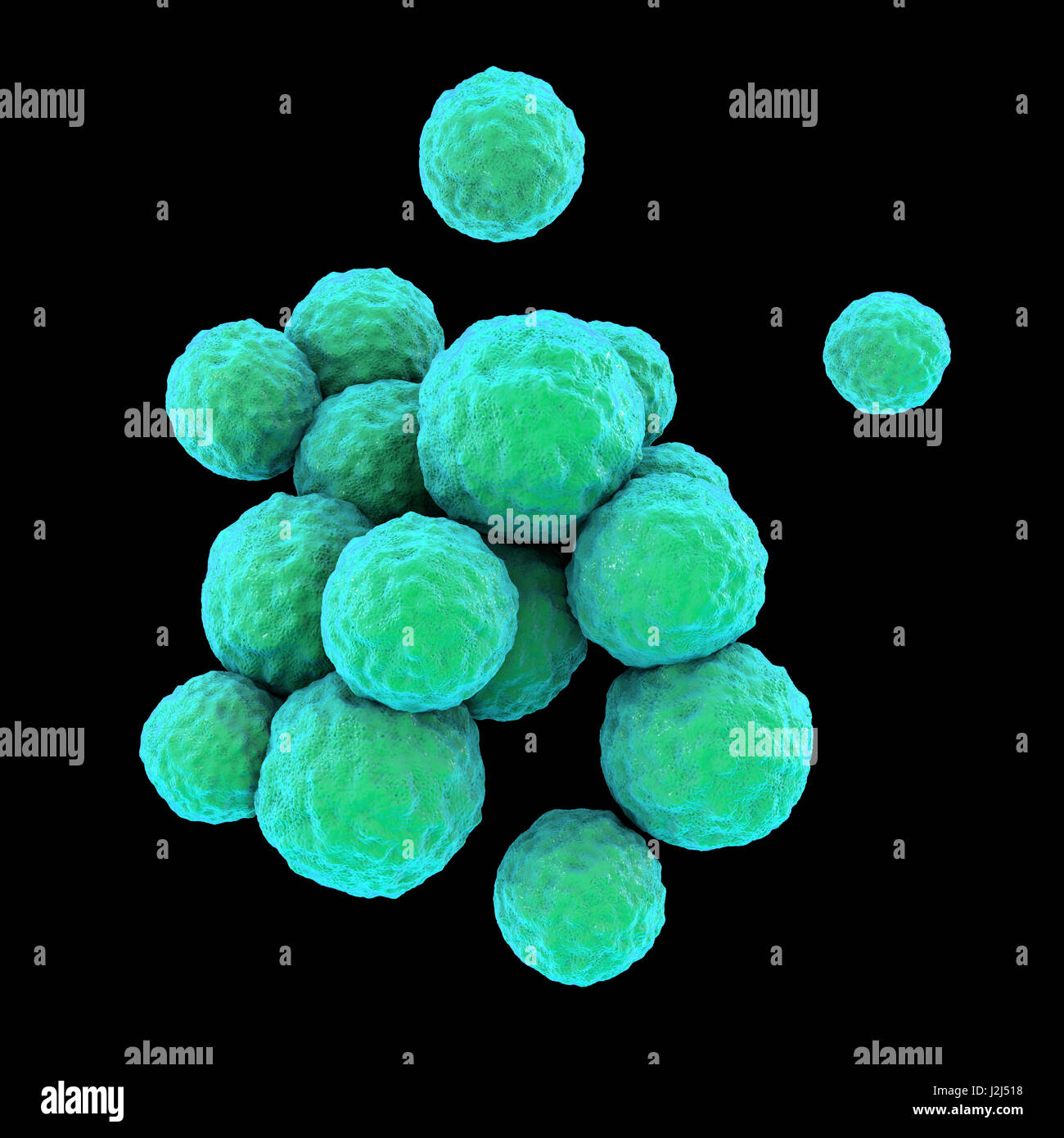 Mrsa bacteria hi-res stock photography and images - Alamy