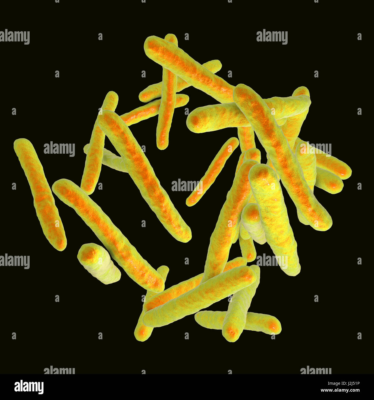 Tuberculosis bacteria. Computer artwork of Mycobacterium tuberculosis ...