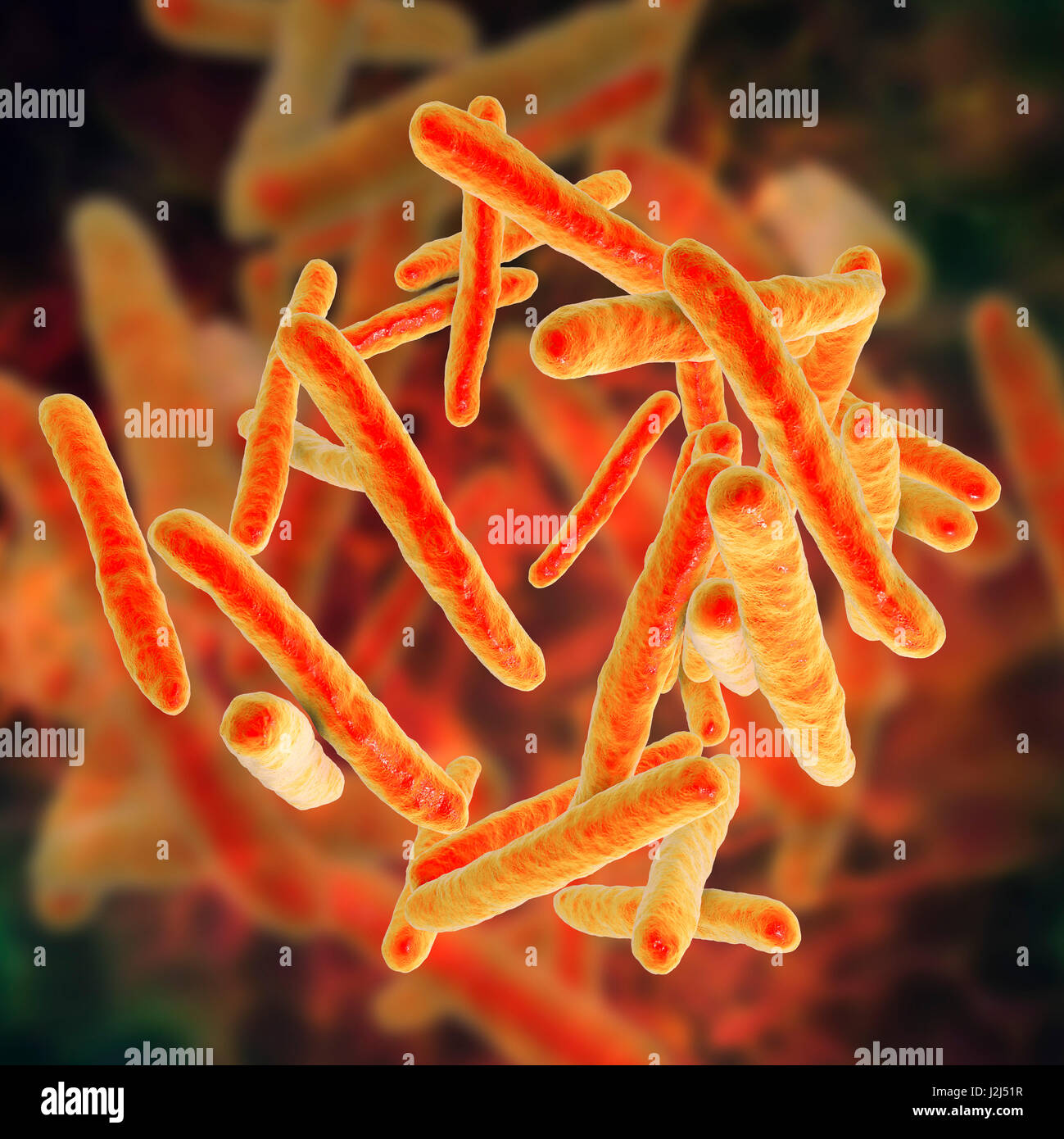 Mycobacterium Tuberculosis Bacteria Structure