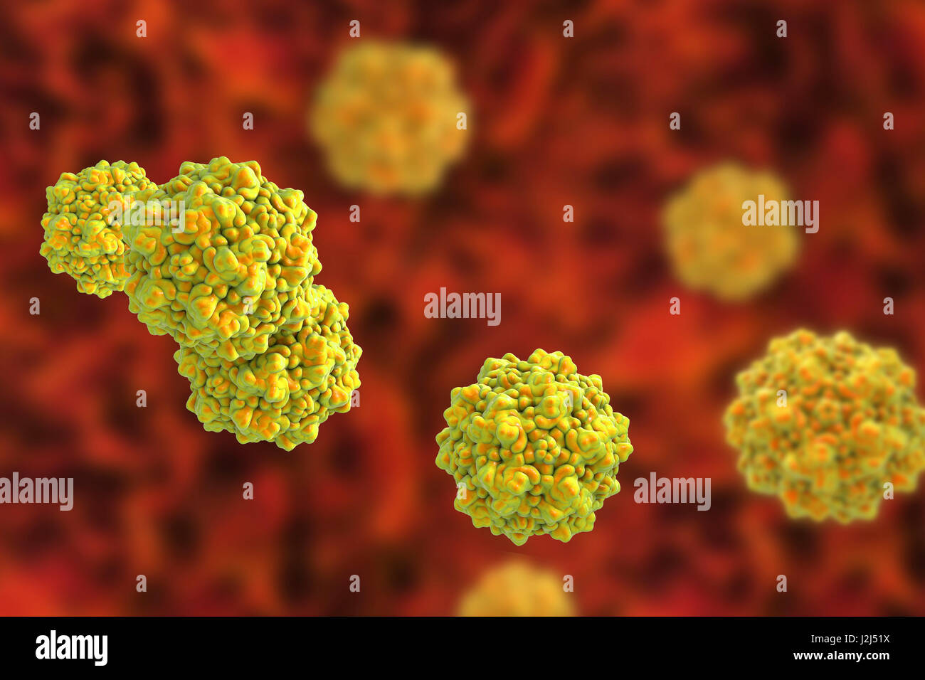 Parvovirus particles, computer illustration. Molecular model showing ...