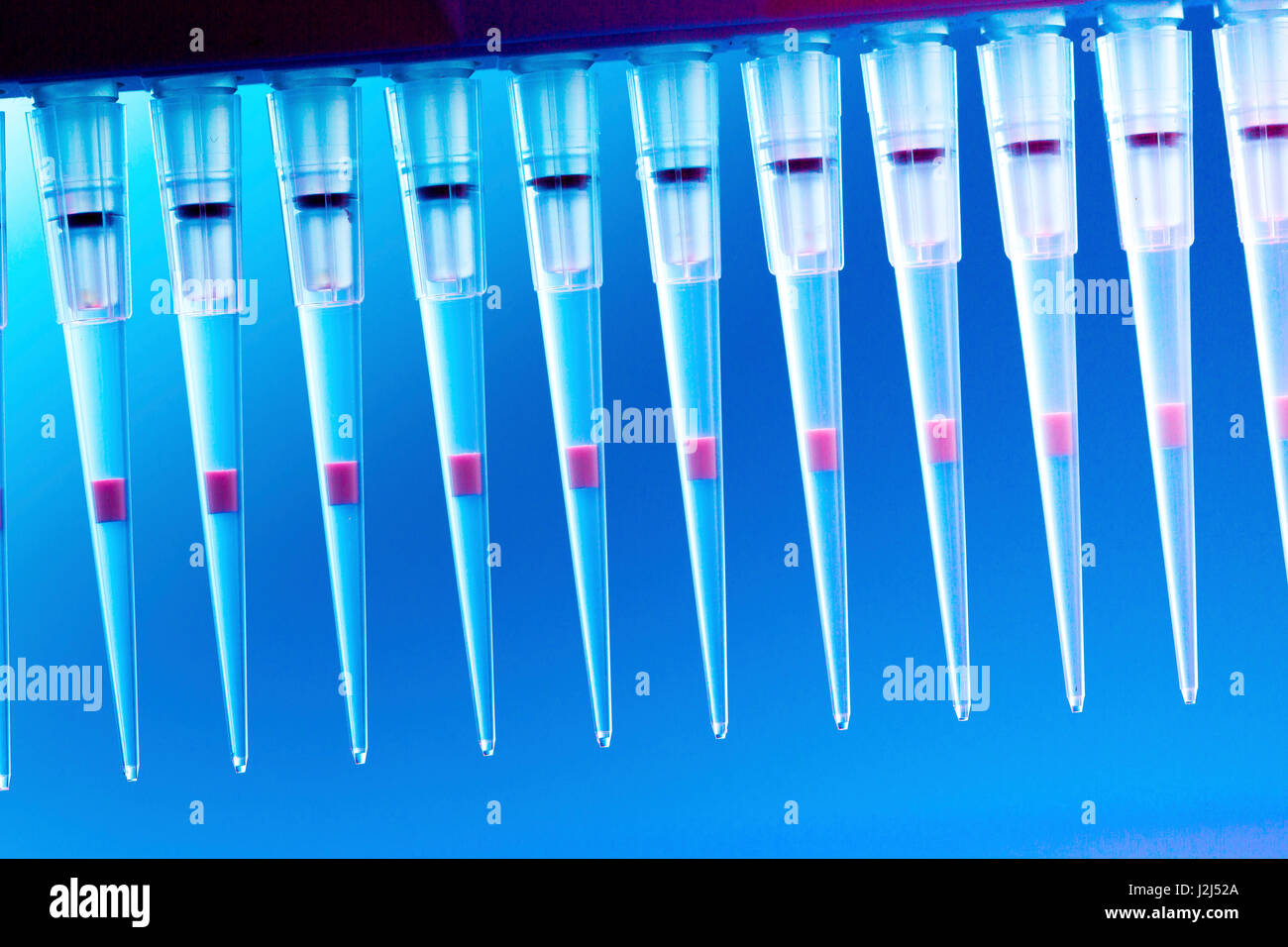 Multi pipette hi-res stock photography and images - Alamy