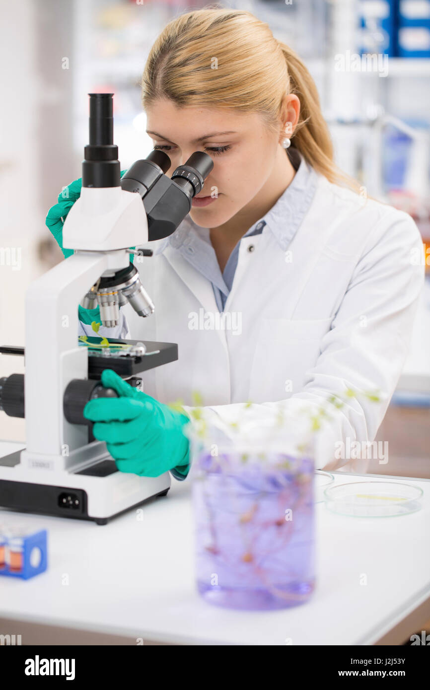 Female scientist using microscope in the laboratory Stock Photo - Alamy