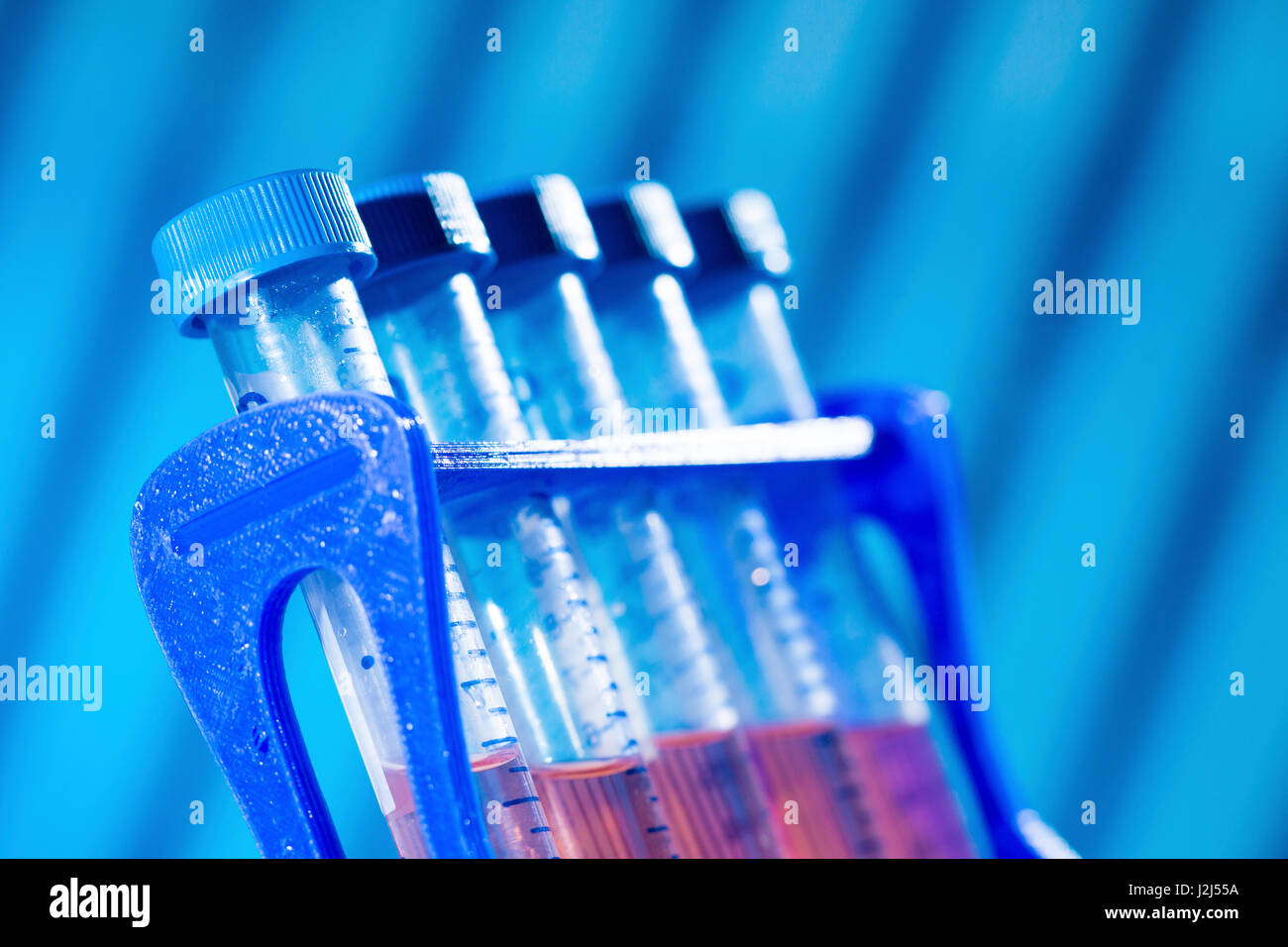 Test tubes in test tube rack Stock Photo - Alamy