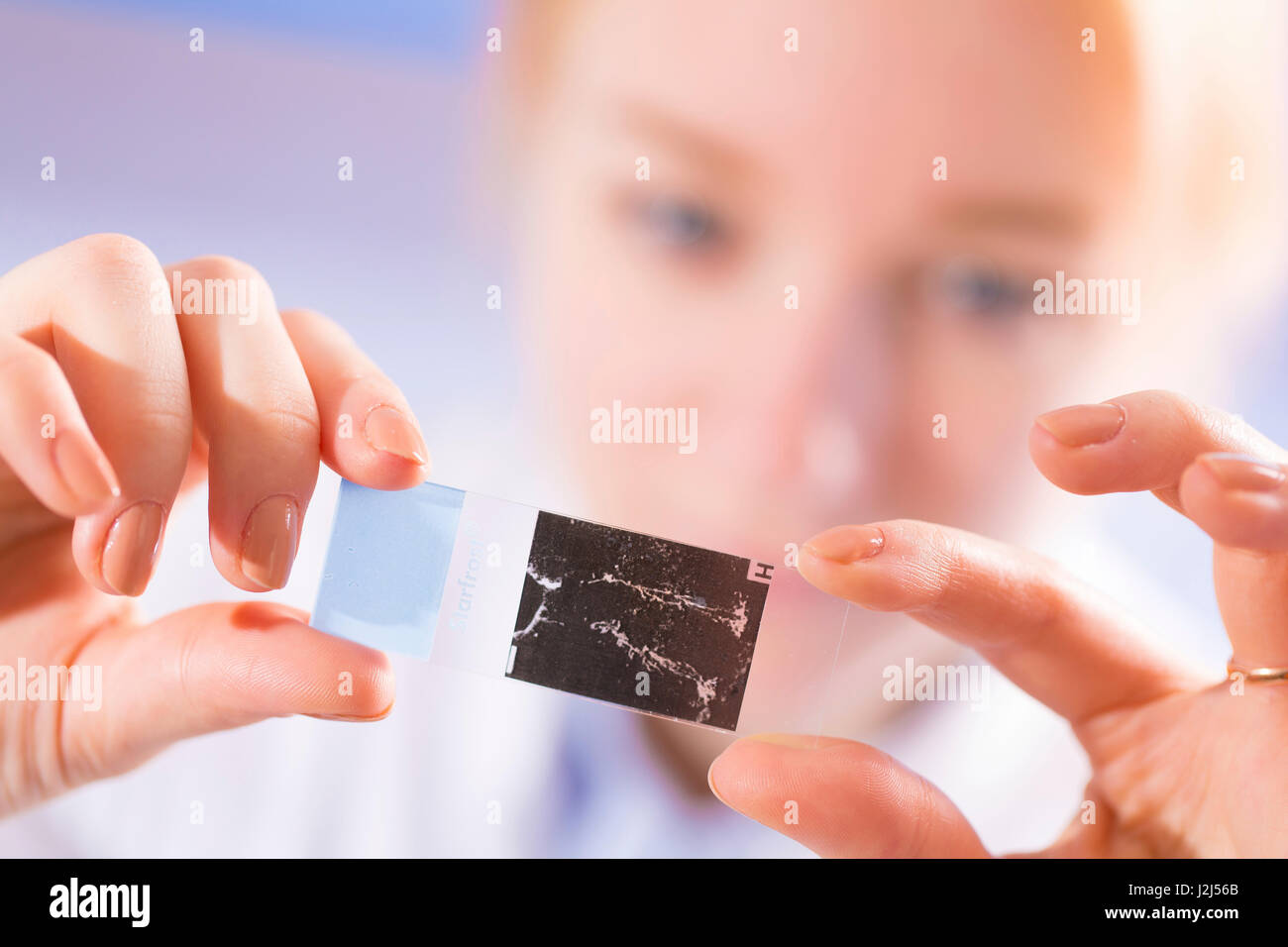 Female scientist examining microscope slide Stock Photo - Alamy